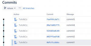 Squash des commits sous IntelliJ de jetbrains - Tuto&Co